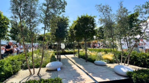 2024 Landscape Design Trends - Jack Moody Group